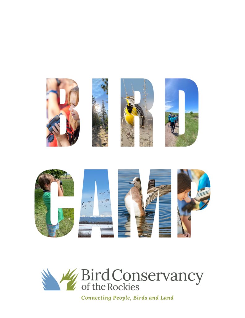 Bird Camps - Bird Conservancy of the Rockies